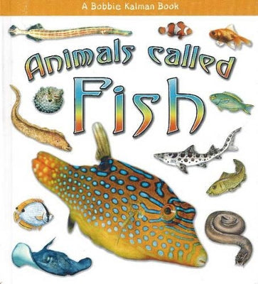Animals Called Fish – Exclusive Books Online