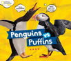 Penguins vs. Puffins – Exclusive Books Online