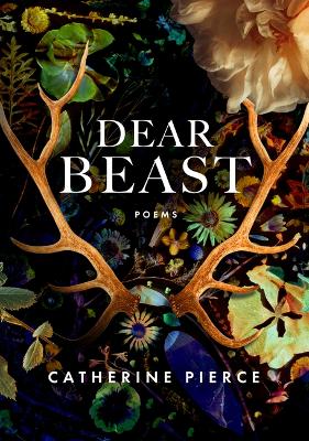 Dear Beast – Exclusive Books Online