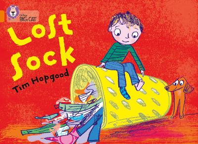 Lost Sock – Exclusive Books Online