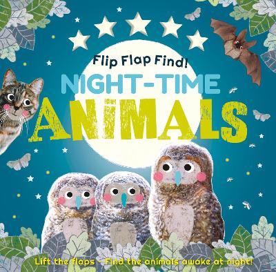 Flip Flap Find! Night-time Animals – Exclusive Books Online