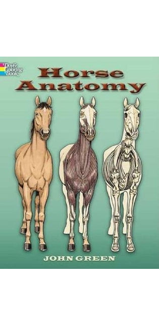 horse anatomy coloring book john green