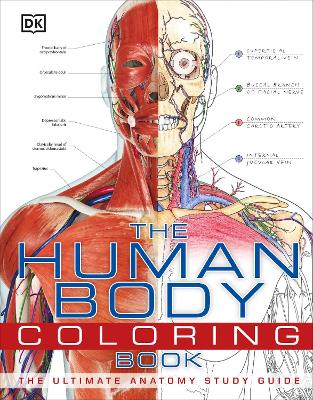 Human Body Coloring Book - Exclusive Books Online