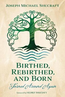 Birthed, Rebirthed, and Born – Exclusive Books Online
